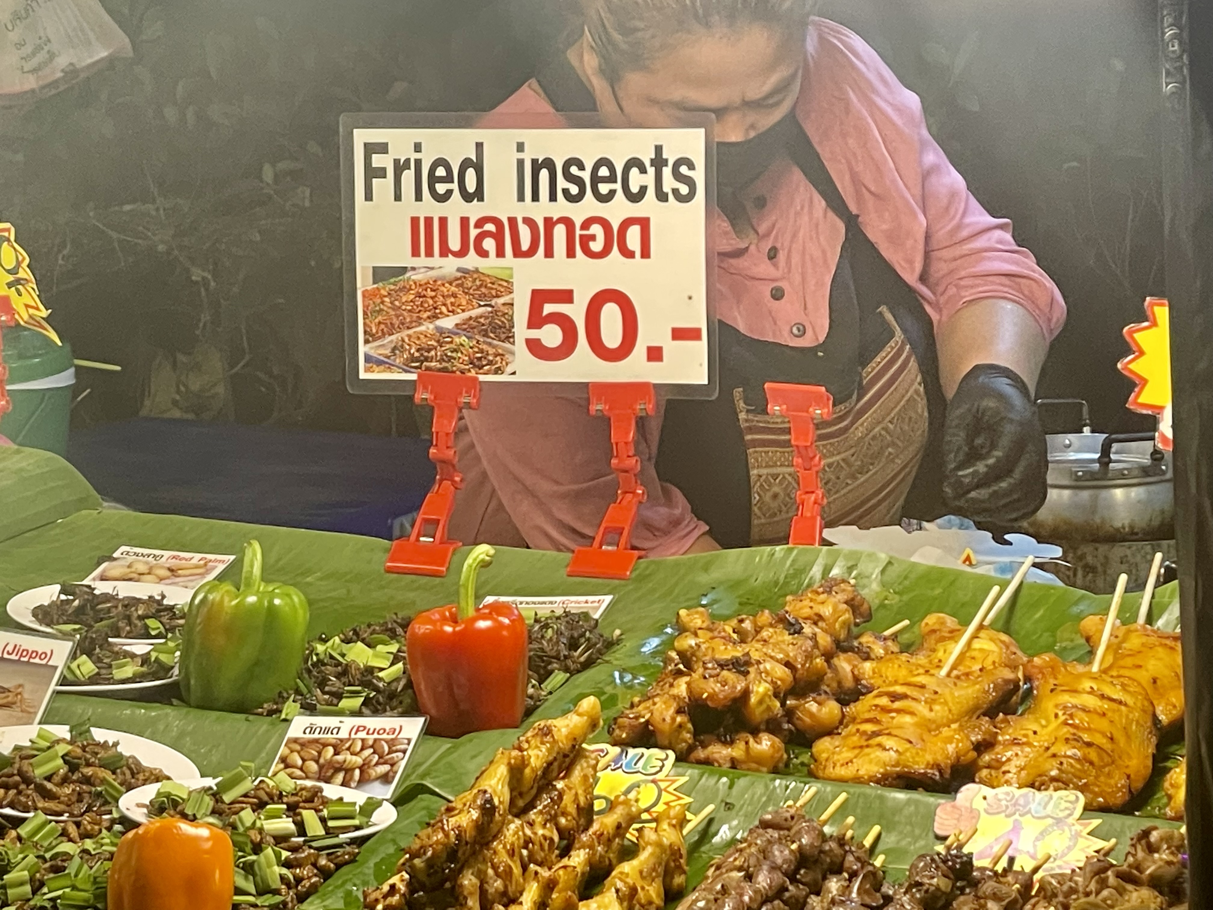 fried-insects – Global Gary